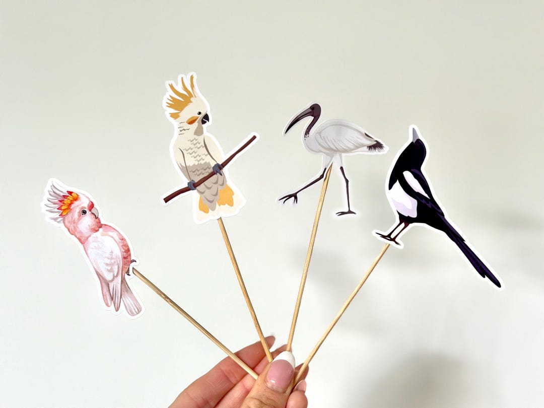 Australian Birds Cake Tooper Set - Etsy