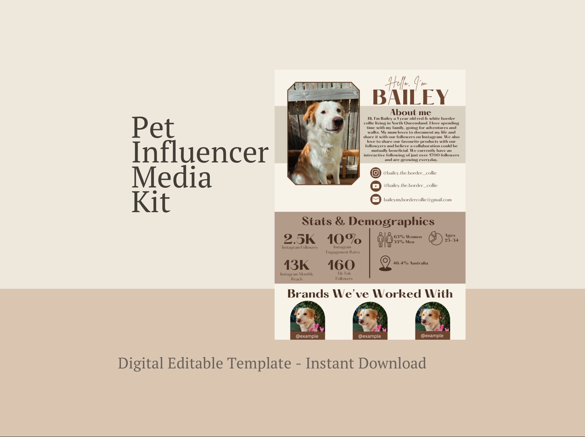 Pet Influencer Media Kit Template Canva Rate Sheet Card Dogfluencer ...