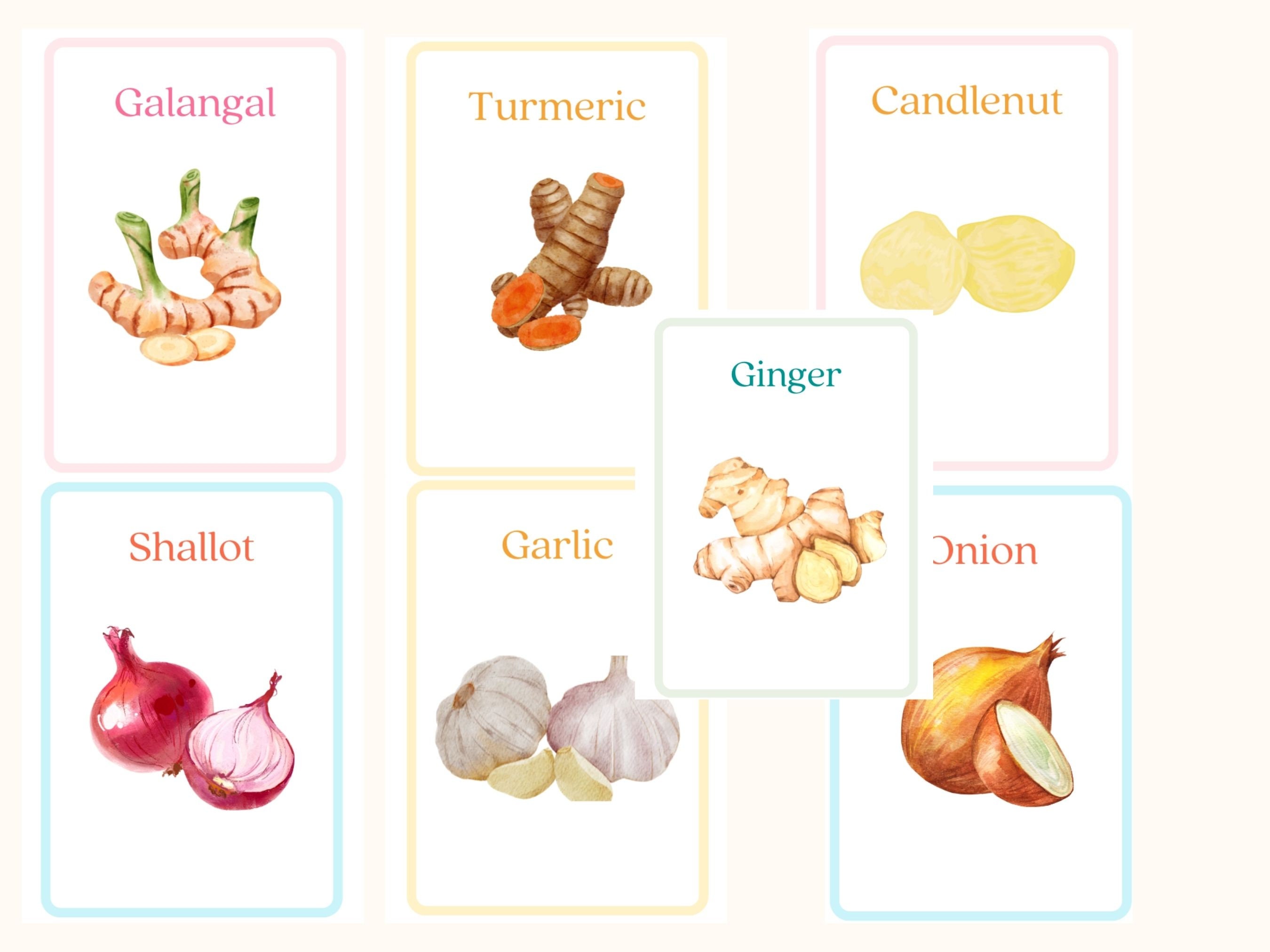 Printable Spices & Vegetables Flashcards Watercolor - Etsy