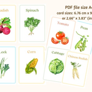 Printable Spices & Vegetables Flashcards Watercolor - Etsy