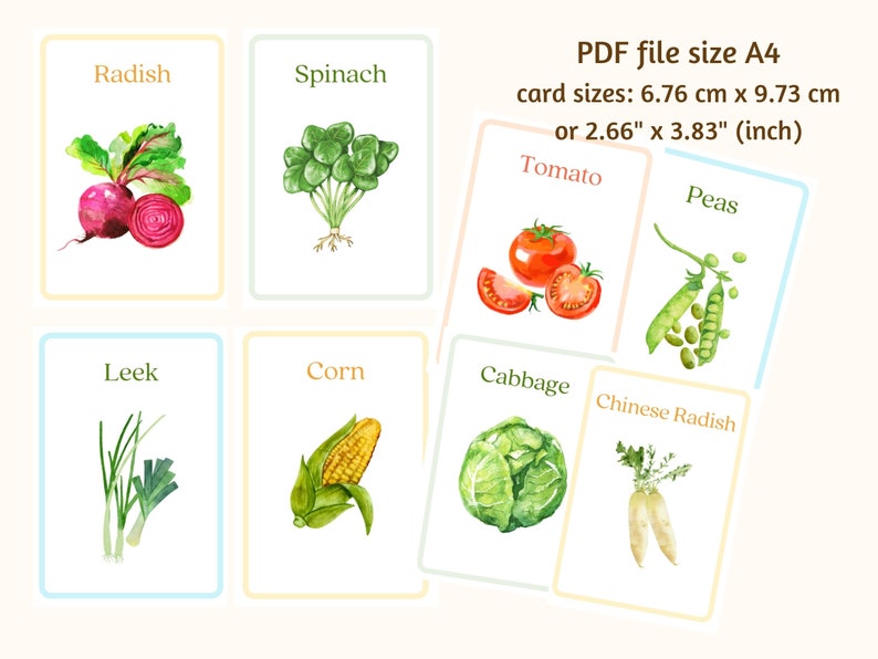 Printable Spices & Vegetables Flashcards Watercolor - Etsy