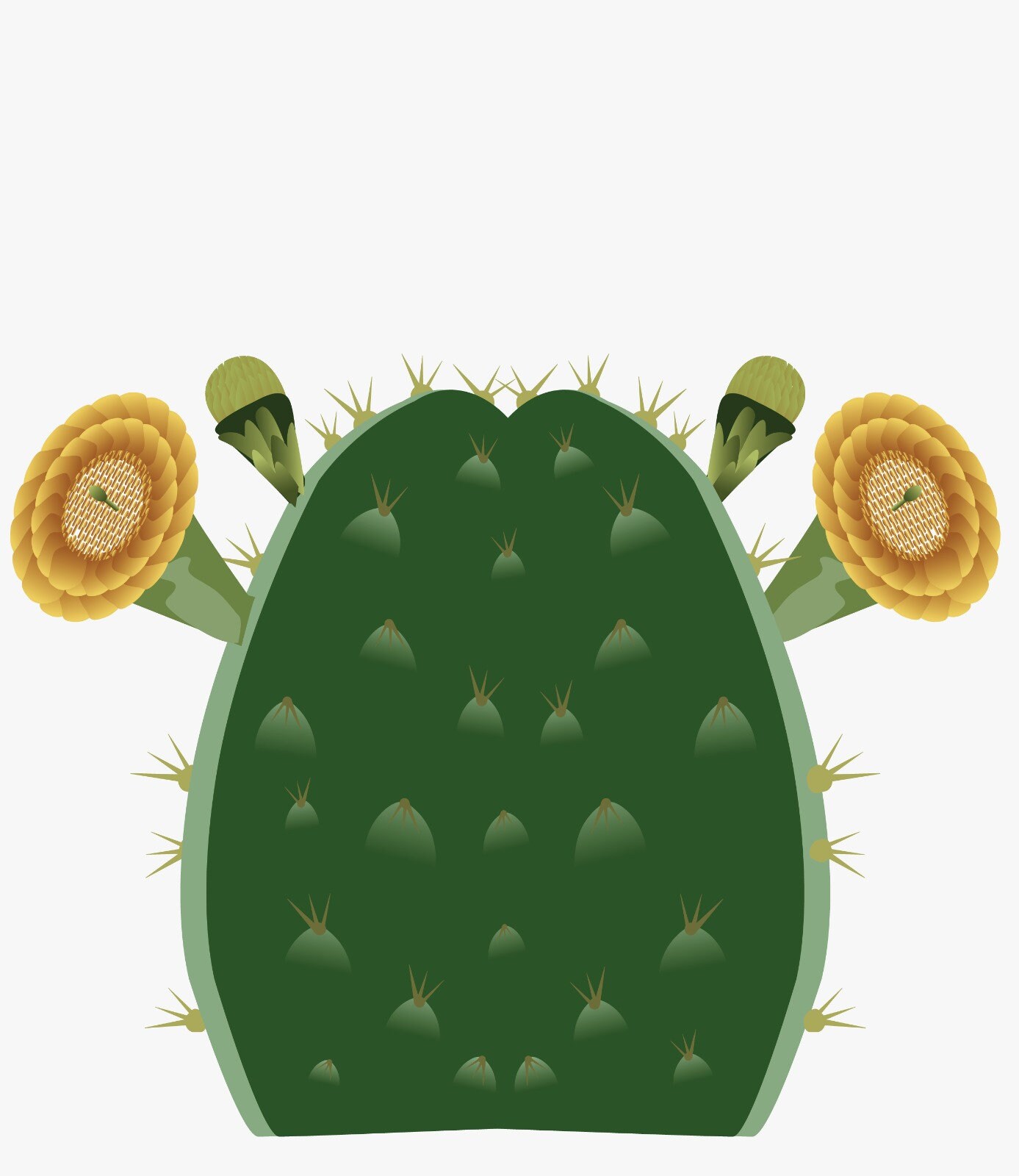 Cactus Vector, Clipart, Editable - Etsy