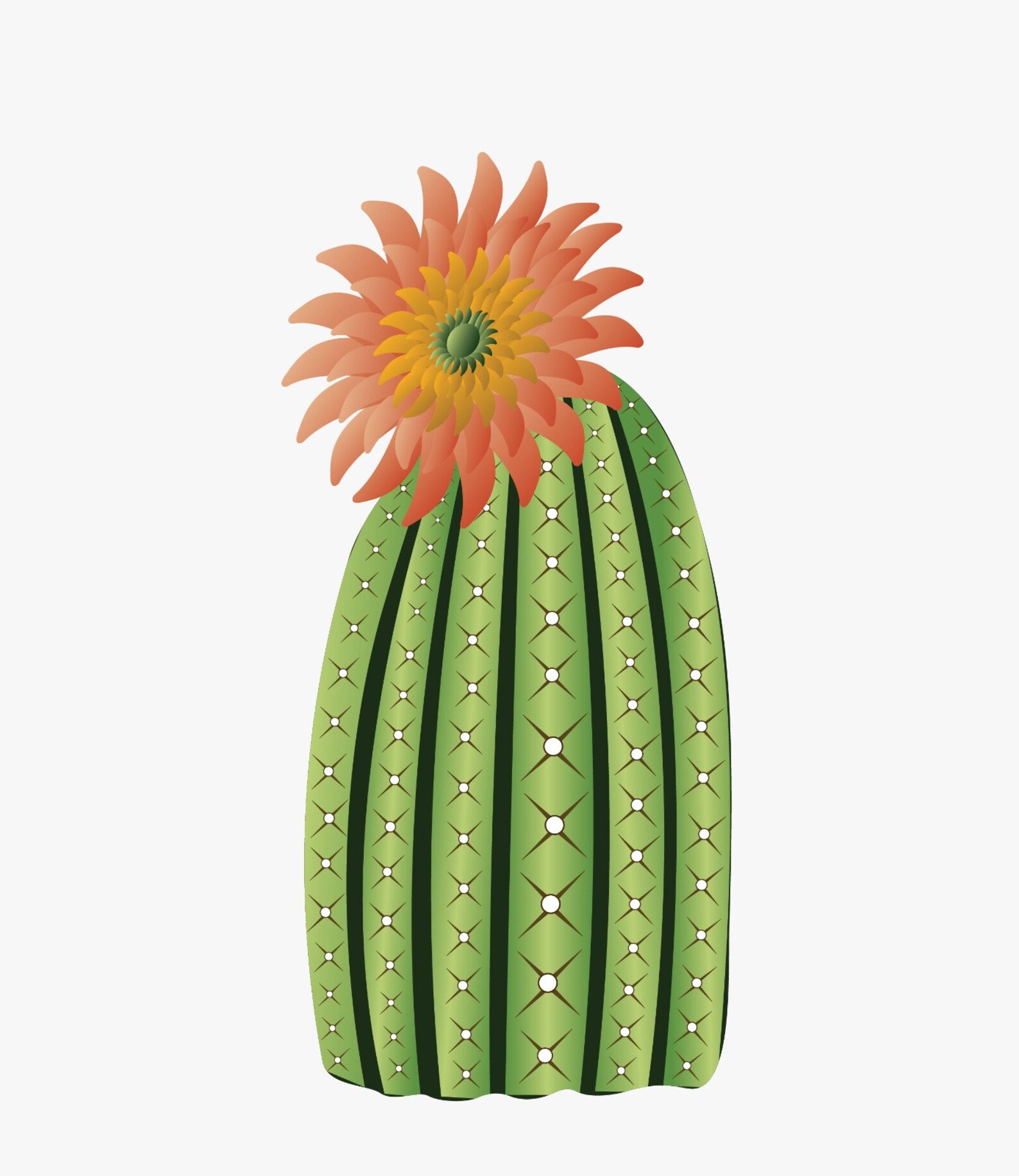 Cactus Vector, Clipart, Editable - Etsy