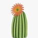 Cactus Vector, Clipart, Editable - Etsy