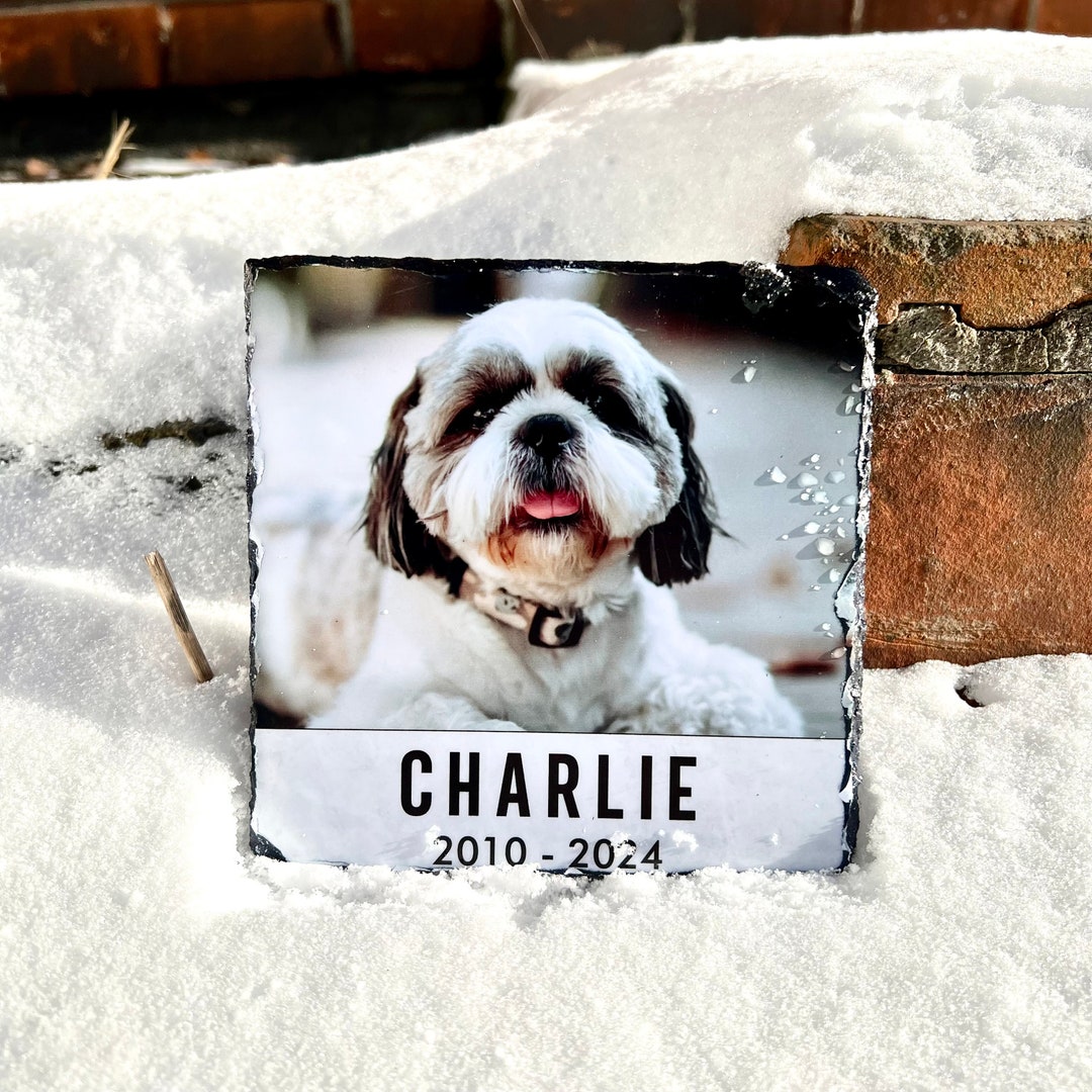 Custom Dog Memorial Passing Gift Pet Loss Stone Frame, Pet Photo Plaque ...