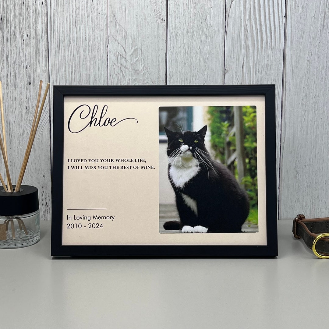 Custom Pet Urn for Cat With Photo Frame, Pet Urn for Cats Ashes, Urn ...