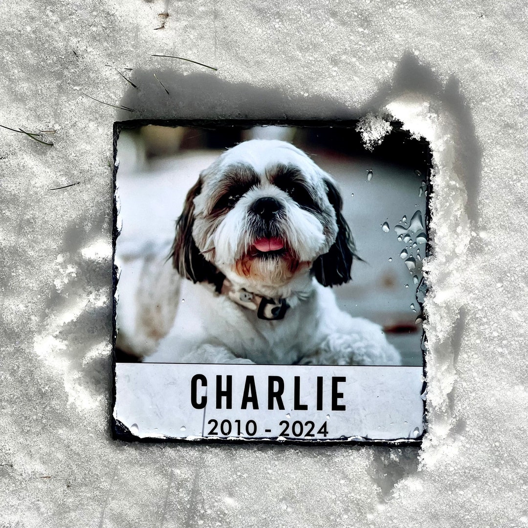 Personalized Pet Memorial Gift, in Loving Memory Gift, Pet Photo ...