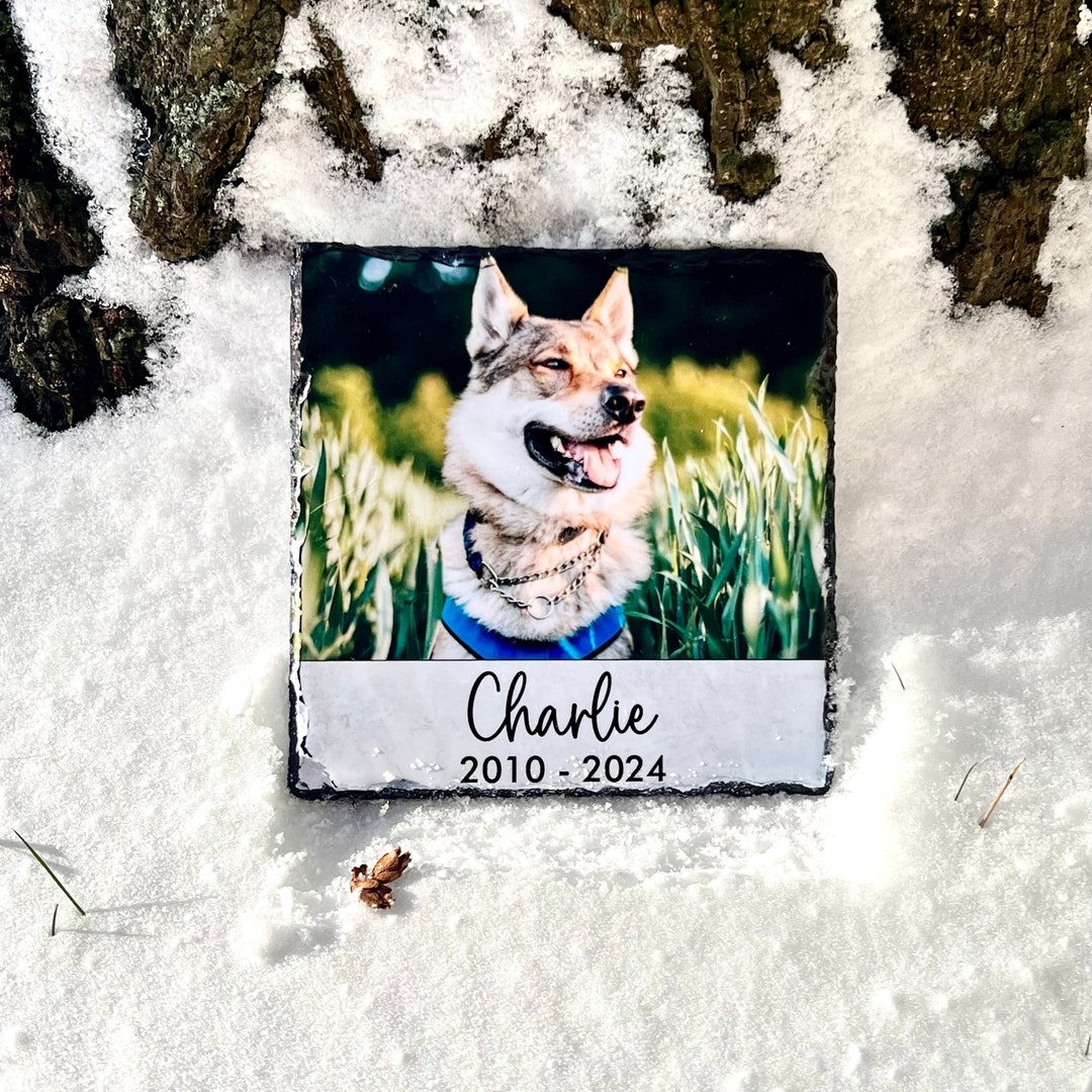 Custom Pet Memorial Photo Stone, Personalized Photo Memorial Plaque ...
