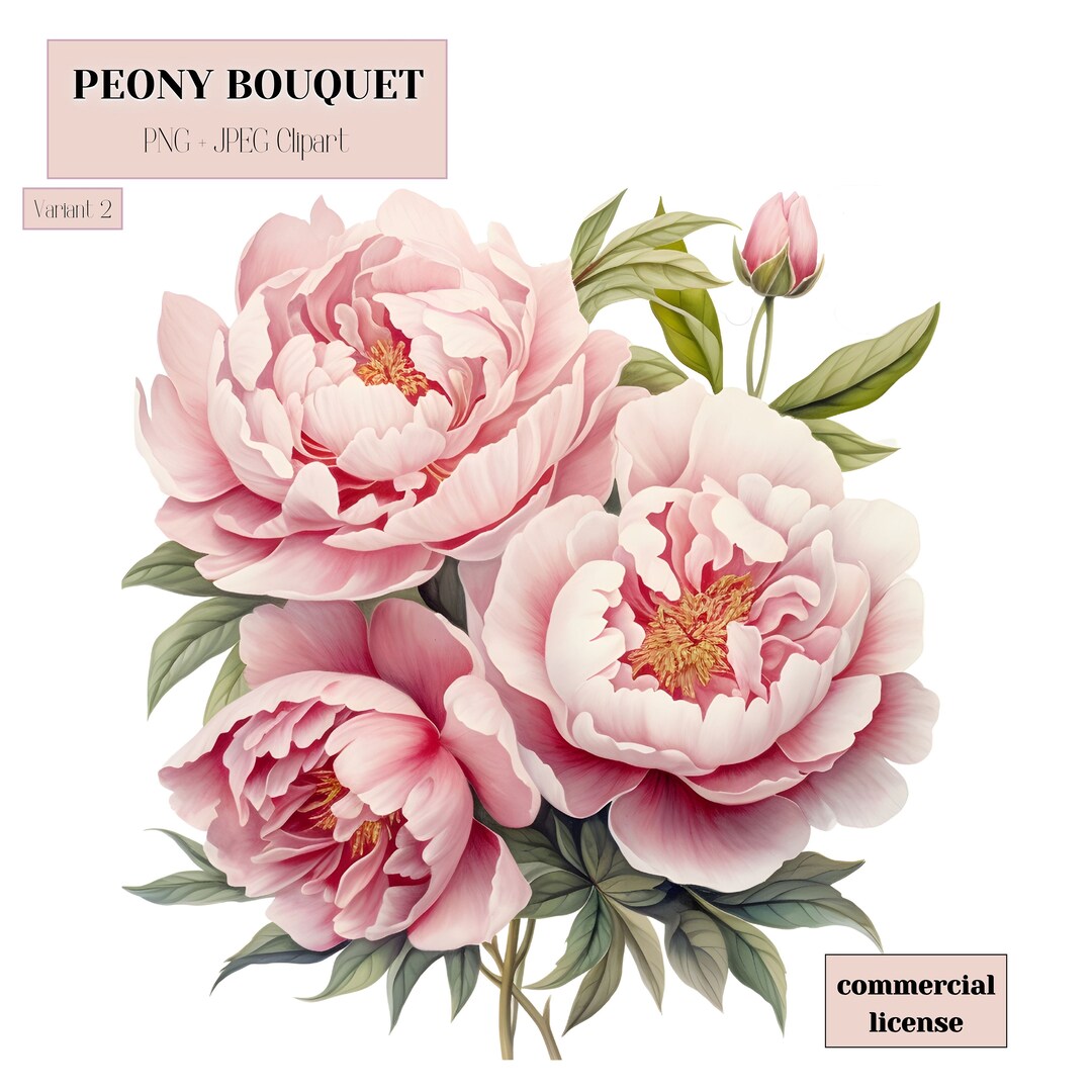 Peony Bouquet Flower V2 Watercolor PNG Commercial Use Clip Art, Pastel ...