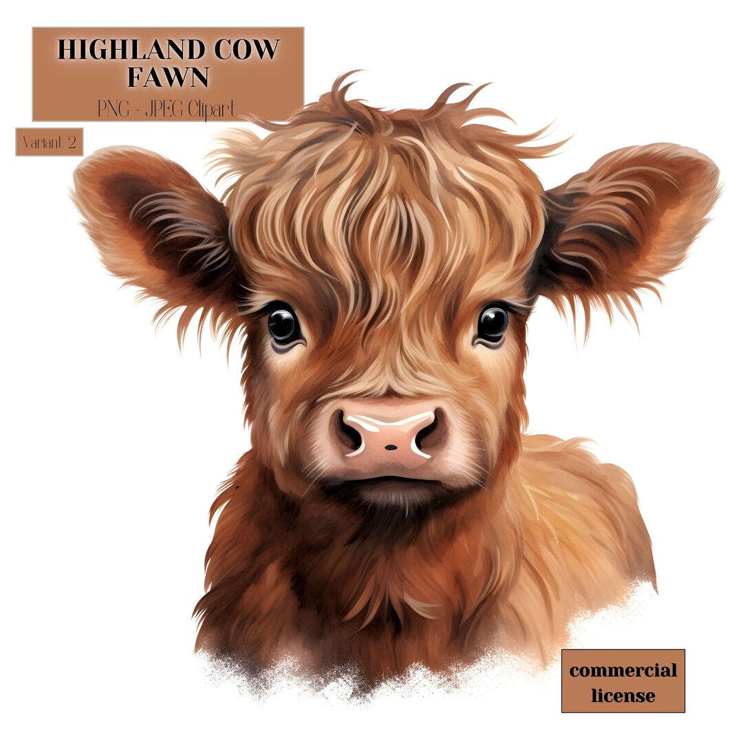 Highland Baby Cow V2 Watercolor PNG Commercial Use Clip Art ...