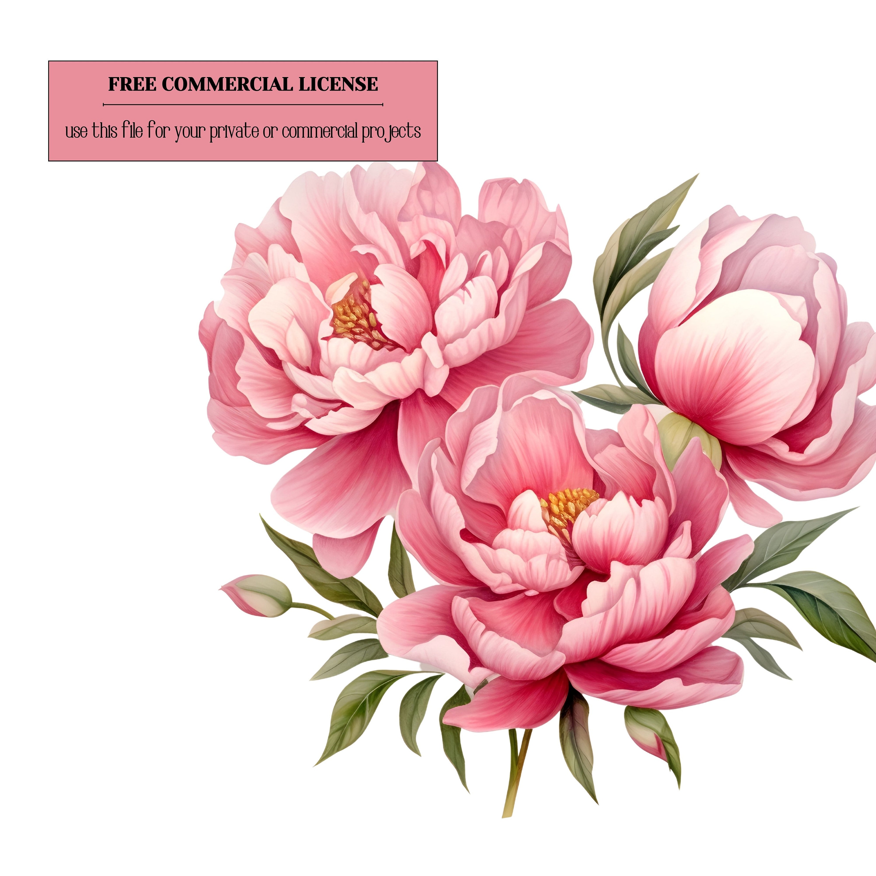 Peony Bouquet Flower V4 Watercolor PNG Commercial Use Clip - Etsy