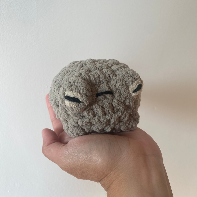 Angry Desert Rain Frog Amigurumi Crochet squeak Toy - Etsy