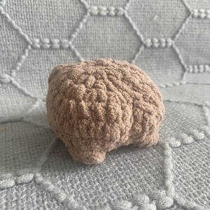 Angry Desert Rain Frog Amigurumi Crochet (squeak Toy) **physical Item ...