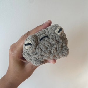 Angry Desert Rain Frog Amigurumi Crochet (squeak Toy) **physical Item ...