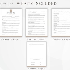 Stud Dog Contract Template, Breeding Services for Stud Dog Agreement, Dog Breeding Agreement ...