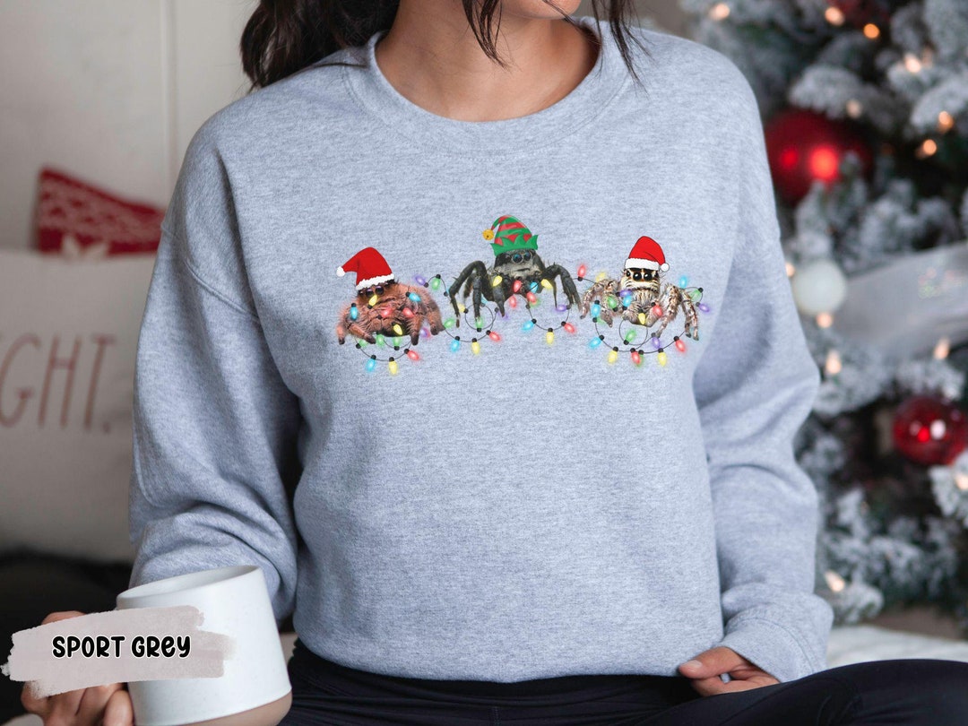 Cute Jumping Spider Christmas Lights Sweater Gift for Women Funny ...