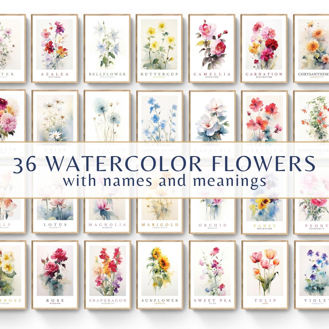 Flower Gallery Wall Set of 36 Watercolor Flower Prints, Botanical Wall ...