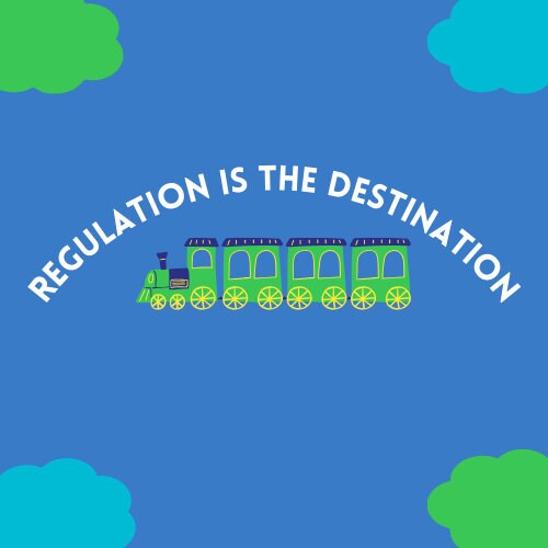 Neurodiversity Affirming and Regulation Posters - Etsy