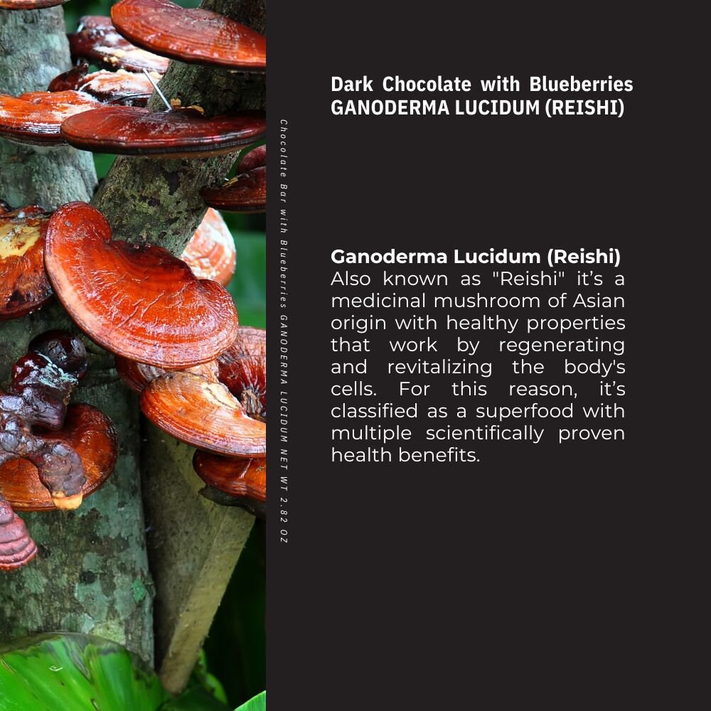 Dark Chocolate Bar With Blueberries/reish /organic/vegan/ Gourmet ...