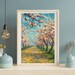 Vincent Van Gogh Poster, Cherry Trees, Van Gogh Paintings, Digital ...