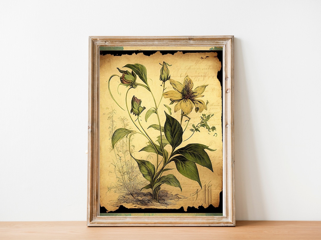 Vintage Garden Poster,botanical Plant,botanical Poster Printable ...