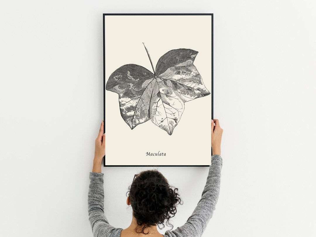 Printable Sage Poster for Plants Lover Stamp Mark Making - Etsy