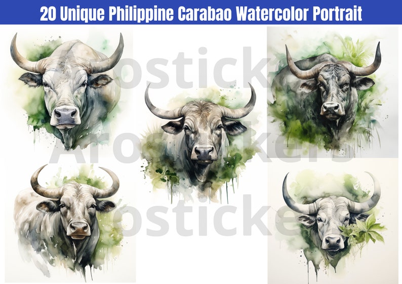 Philippines Carabao Water Color Portraits PNG Pack of 20 DIGITAL ...