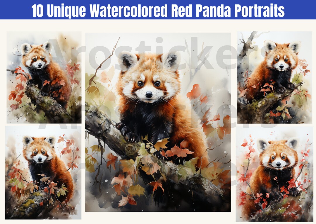 Red Pandas Water Color Portraits PNG Pack of 10 DIGITAL DOWNLOAD - Etsy