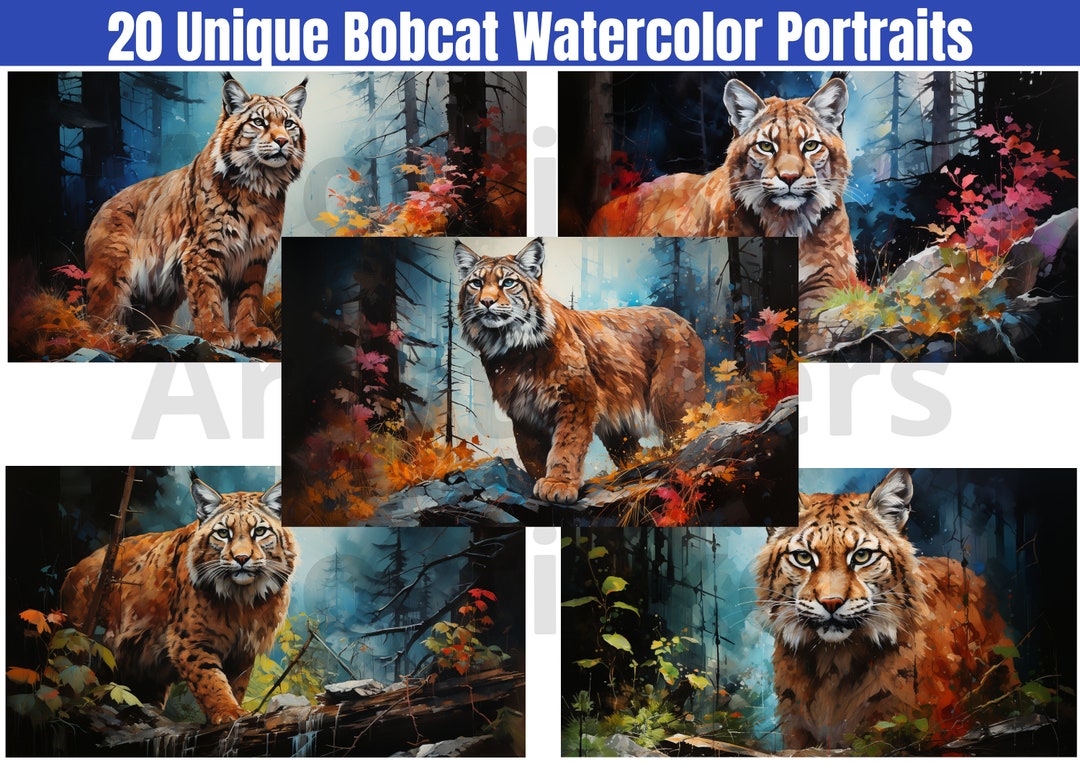 Bobcat Water Color Portraits PNG Pack of 20 DIGITAL DOWNLOAD - Etsy