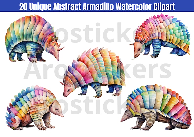 Armadillo Abstract Watercolor Clipart PNG Pack of 20 DIGITAL DOWNLOAD ...