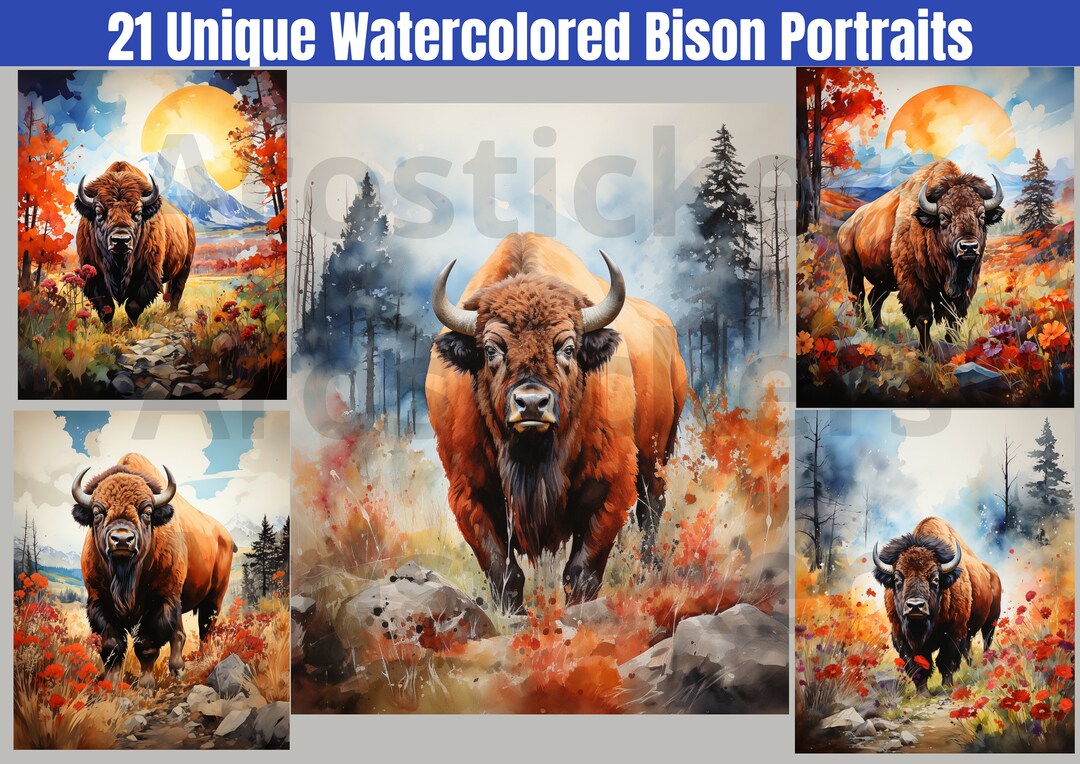 Bison Water Color Portraits PNG Pack of 20 DIGITAL DOWNLOAD - Etsy