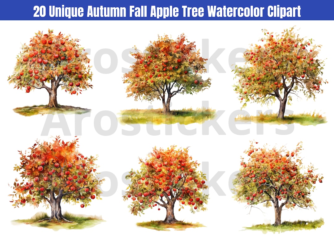 Autumn Fall Apple Tree Watercolor Inspired Clipart PNG Pack of 20 ...