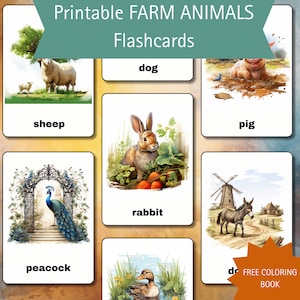 Printable PDF Farm Animal Cards, 24 Montessori Cards, Flashcards ...
