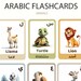 Animal Arabic Alphabet Activity Flashcards for Kids WITH FREE Colouring ...
