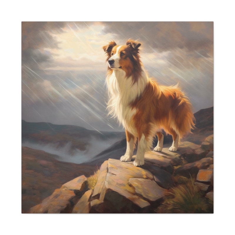 Collie Dog Art - Etsy