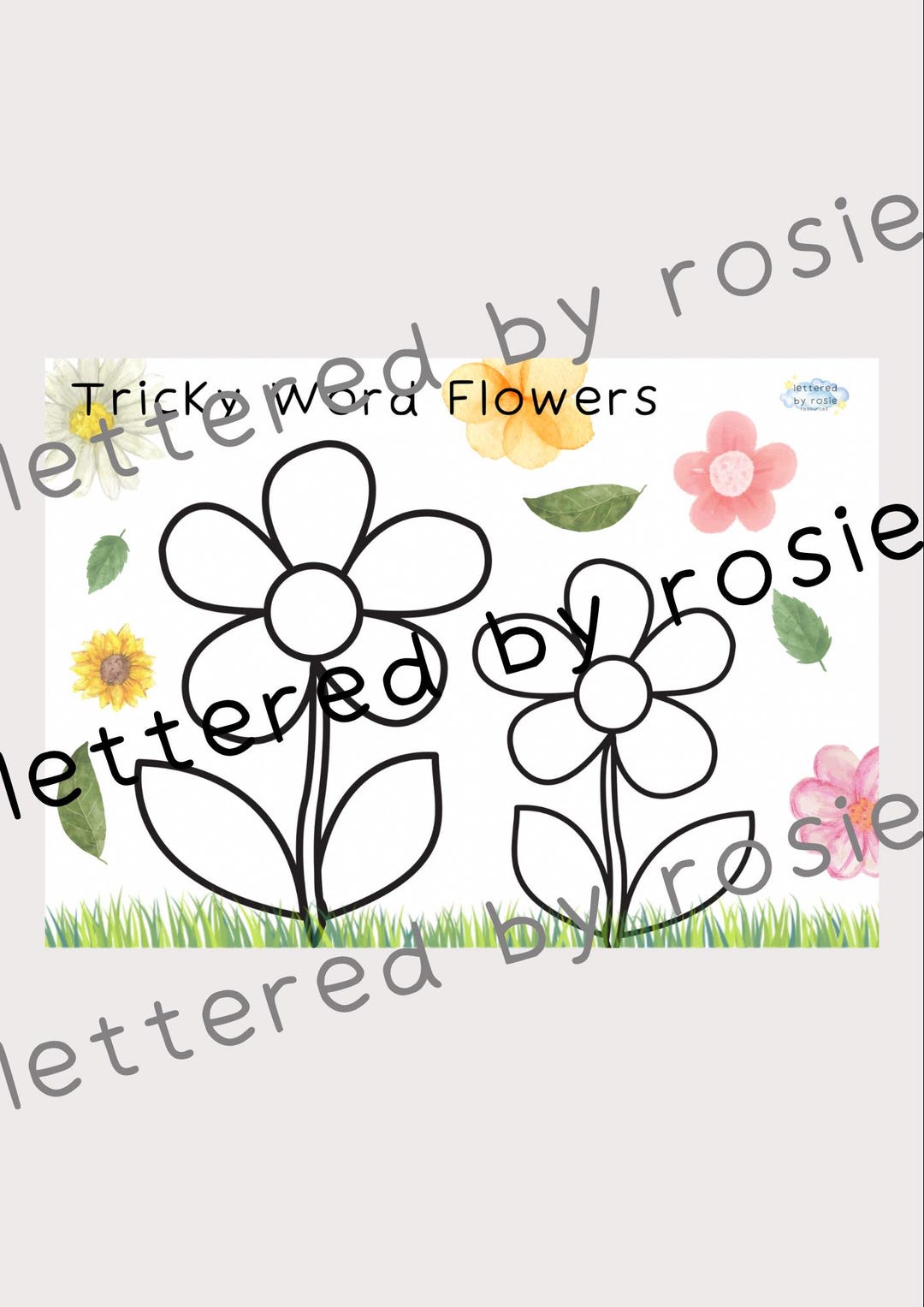 Tricky Word Flowers Digital Download EYFS Reception - Etsy