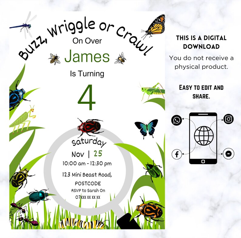 Editable Insect Birthday Invitation Bug 4th Birthday Invite Instant ...