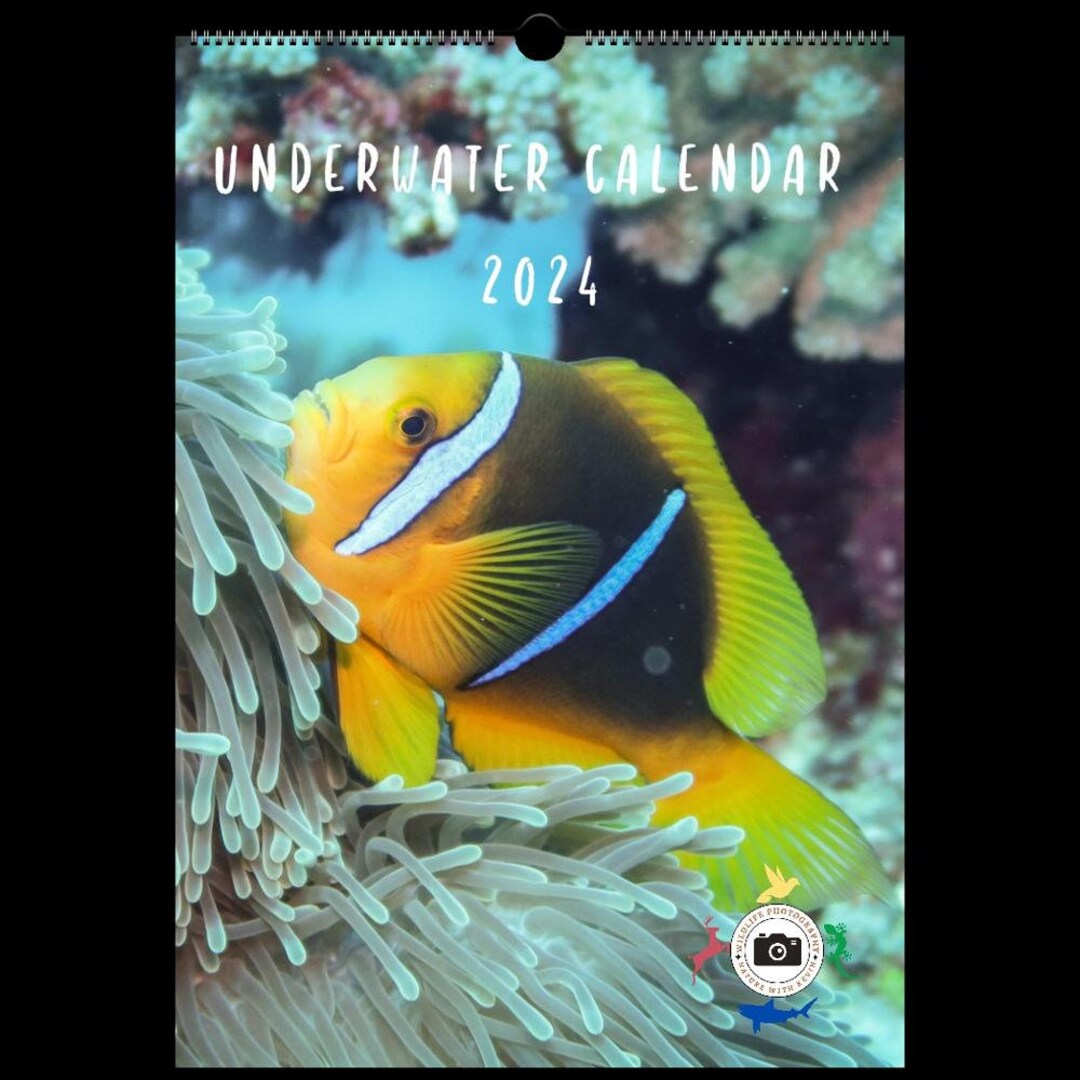 Underwater Calendar 2024 - Etsy