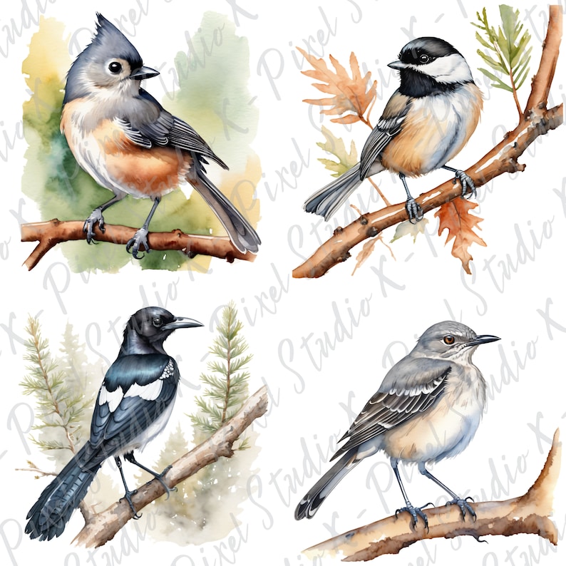 Watercolor Birds PNG Bundle | 15 Cute Birds Animal Clipart | for ...
