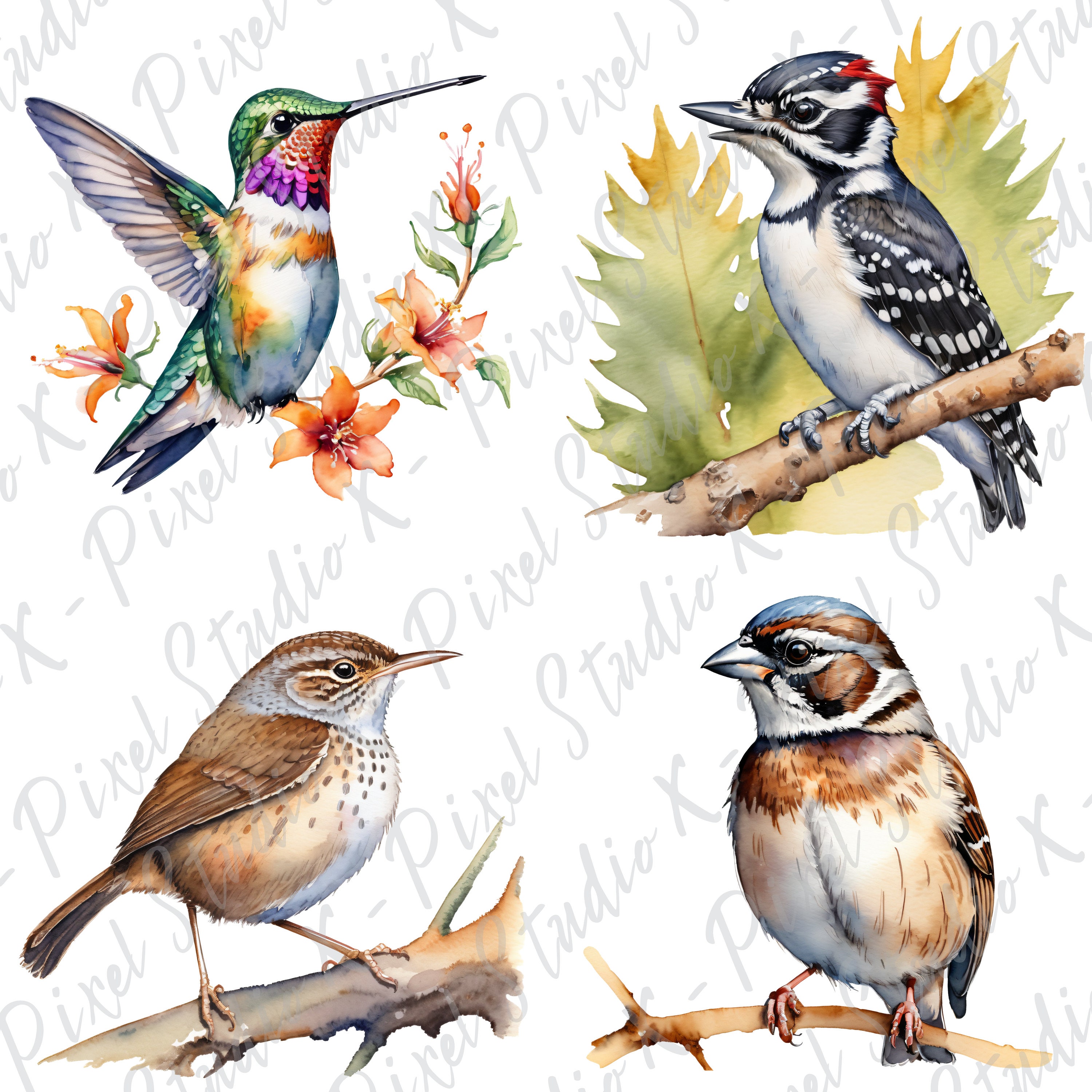 Watercolor Birds PNG Bundle | 15 Cute Birds Animal Clipart | for ...