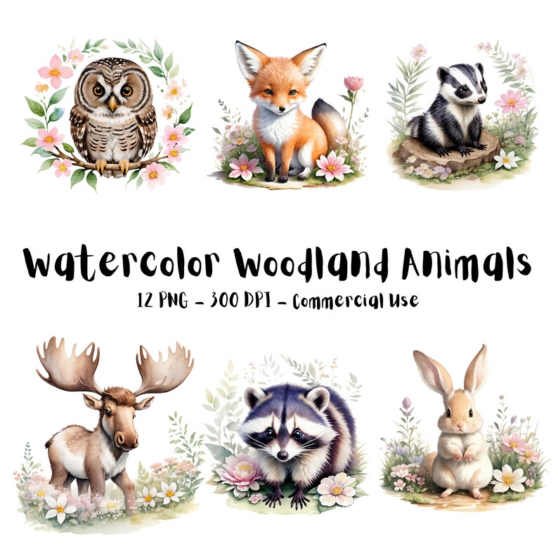 Watercolor Woodland Animals PNG Bundle 12 Cute Woodland - Etsy