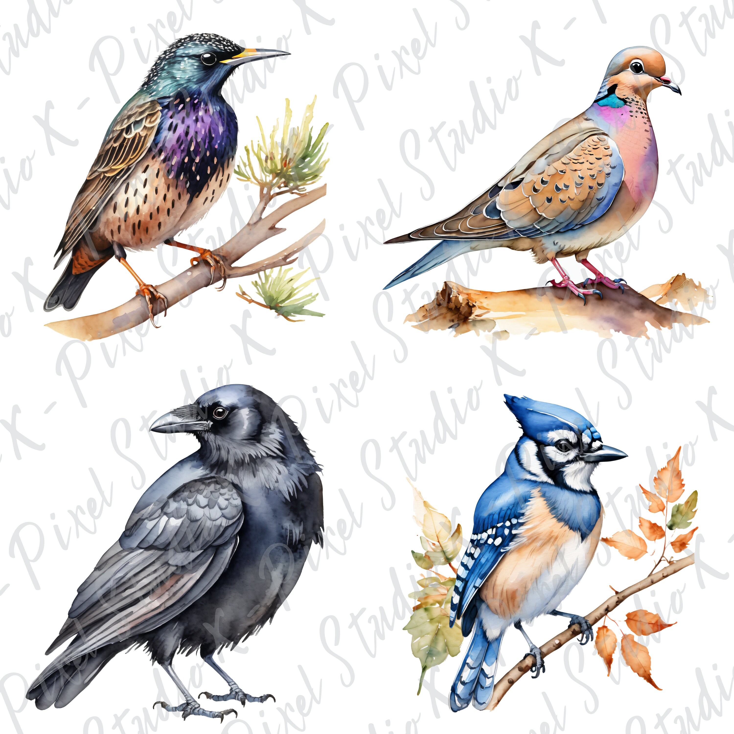 Watercolor Birds PNG Bundle | 15 Cute Birds Animal Clipart | for ...