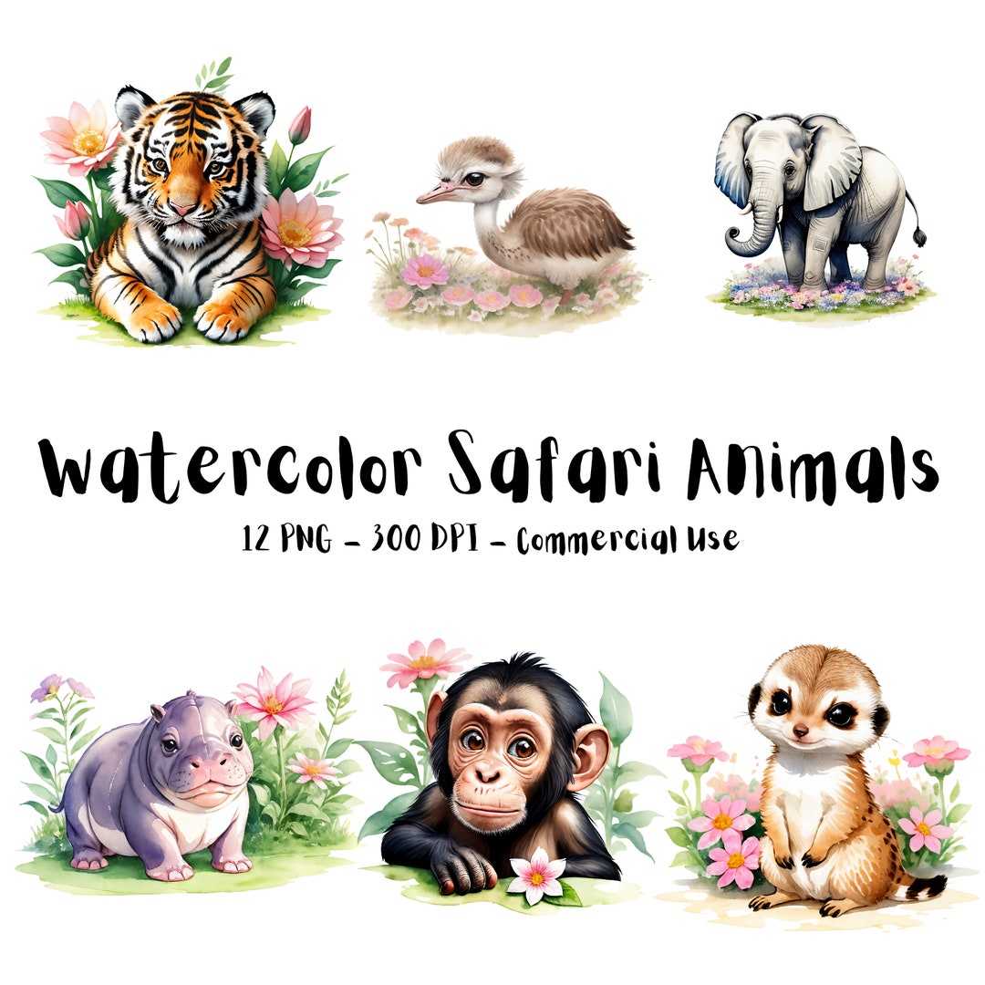 Watercolor Safari Animals PNG Bundle | 12 Cute Jungle Animal Clipart ...