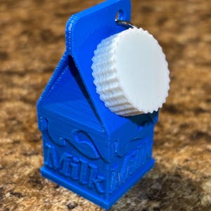 Keychain Lactaid Pill Holder Bottle - Etsy