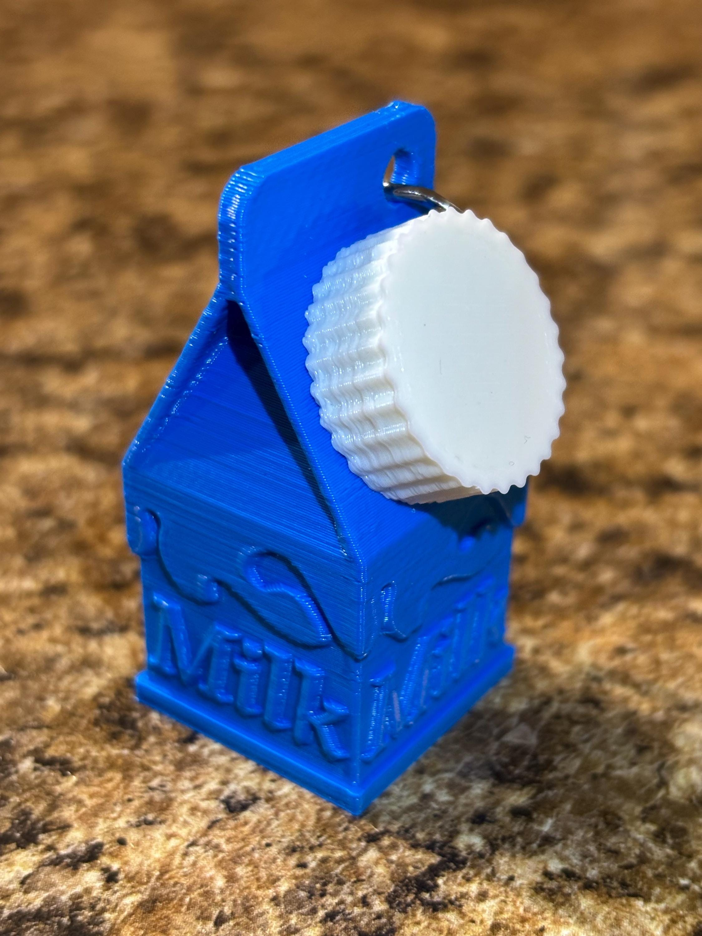Keychain Lactaid Pill Holder Bottle - Etsy