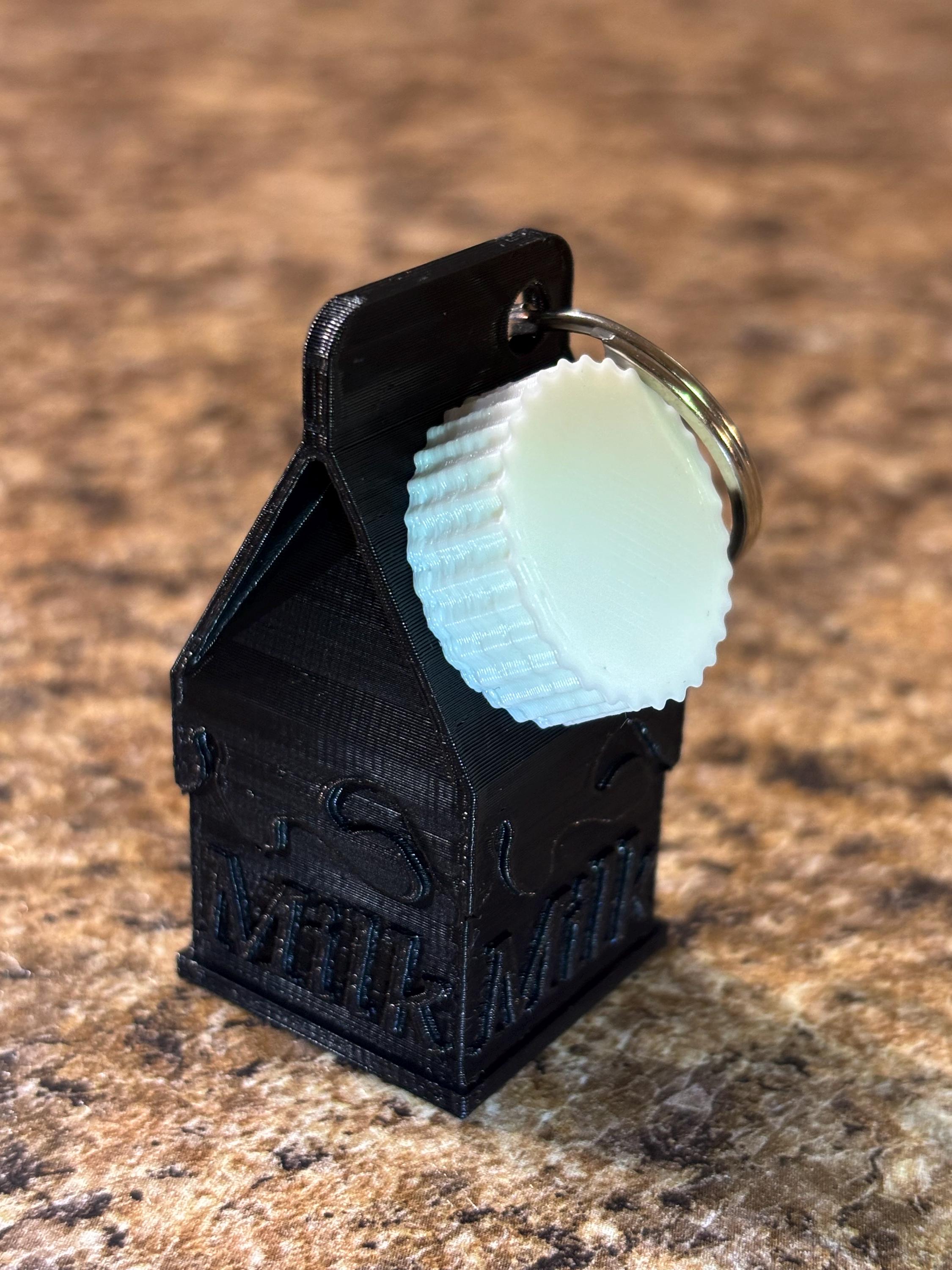 Keychain Lactaid Pill Holder Bottle - Etsy