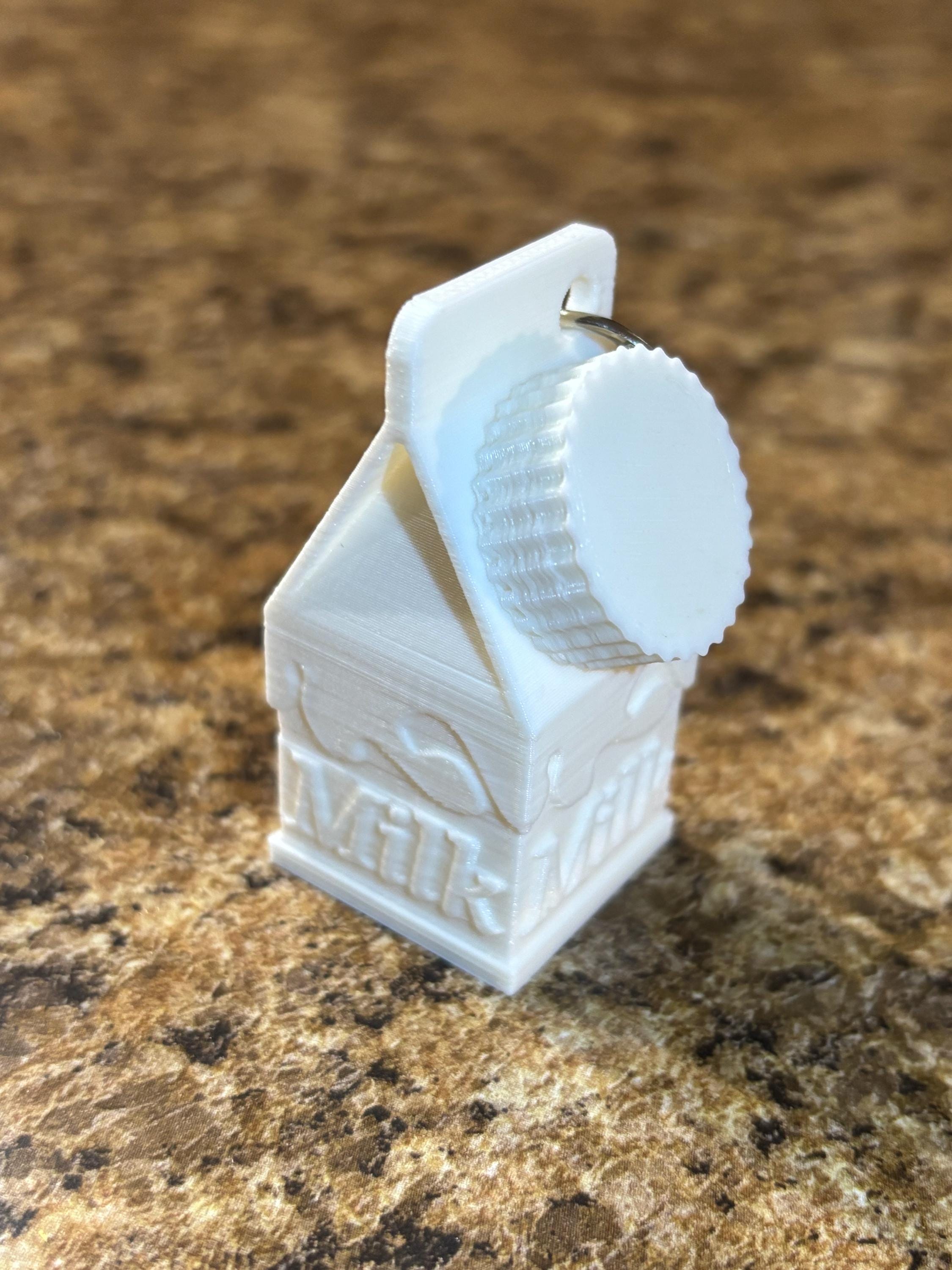 Keychain Lactaid Pill Holder Bottle - Etsy