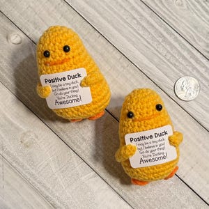 Positive Duck, Motivational Gift, Co-worker Gift, Student Gift ...