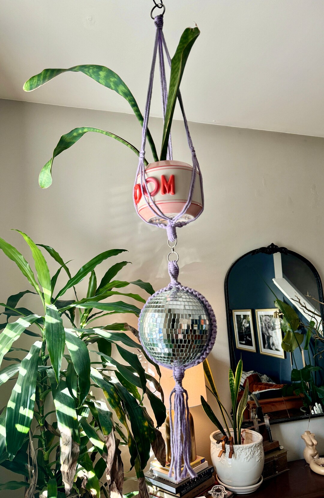 Disco Plant Spinner - Etsy