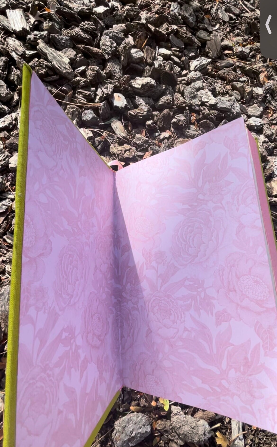 The Cruel Prince Rebound Book, Special Edition, Handmade, Holly Black ...